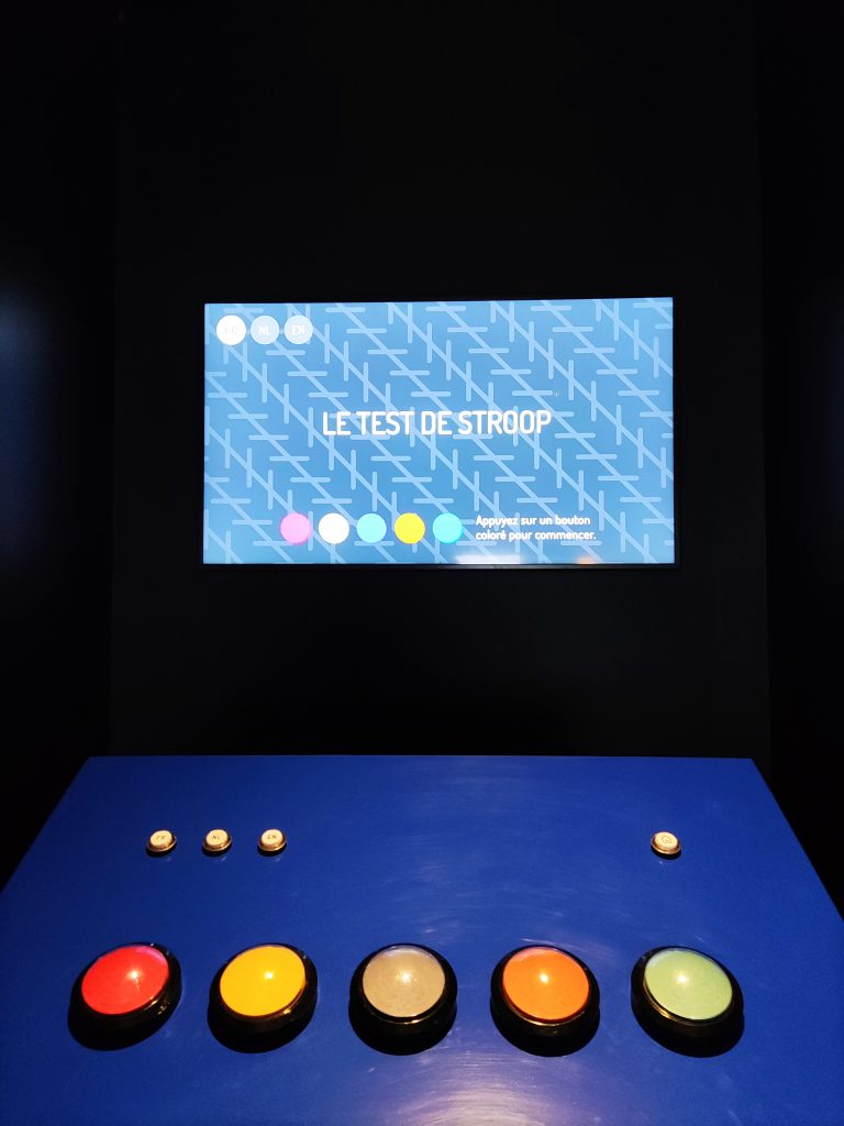 Le WOM, World Of Mind, le nouveau musée qui propose des illusions d ...